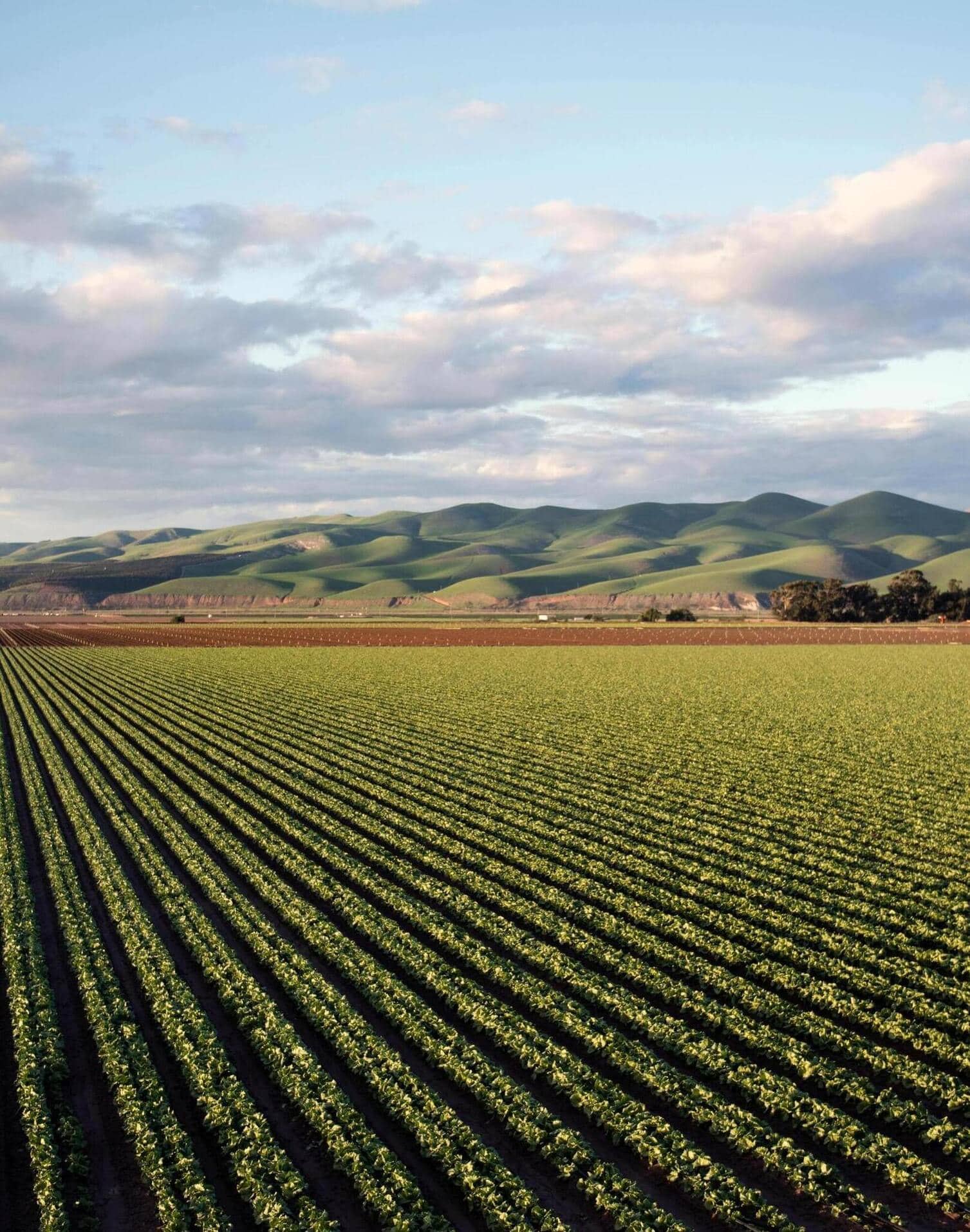 Towards Climate-Resilient Agriculture and Food Systems